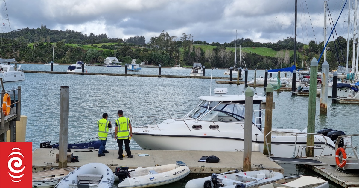 Harbourmaster details Bay of Islands ferry collision | RNZ