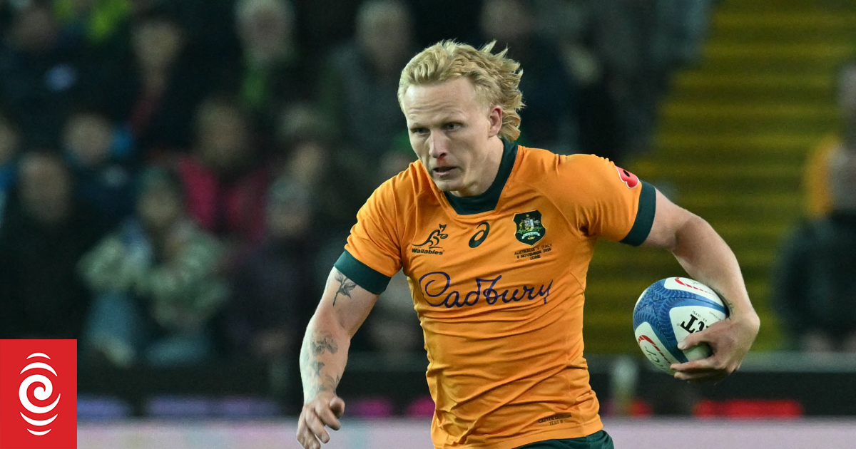 Ireland victorious against Wallabies in Dublin | RNZ News