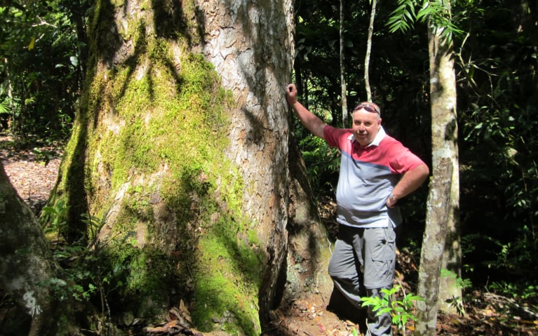 NZ's longest serving indigenous forest researcher retires | RNZ