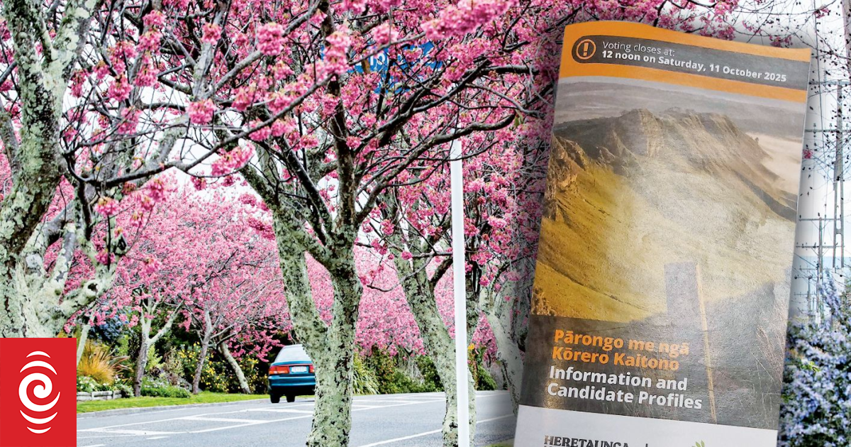 Hastings voting booklet blunder leaves 27 candidates’ profiles missing ...