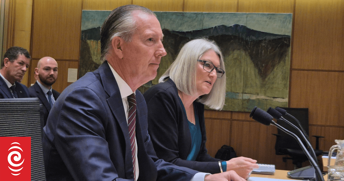 ANZ tells MPs $2 billion annual profit 'fair' | RNZ News