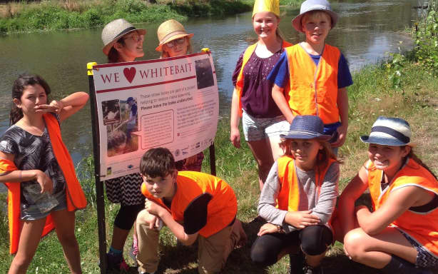 Fish ladders help threatened species migrate | RNZ