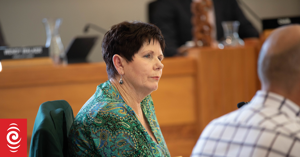 Porirua council in 'state of limbo' while court considers seat recount ...