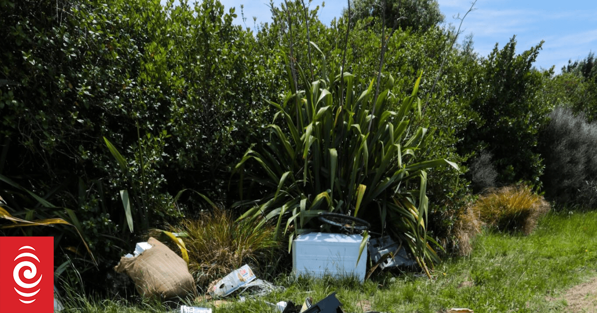 Hawke's Bay council look to change Litter Act to crackdown on fly ...