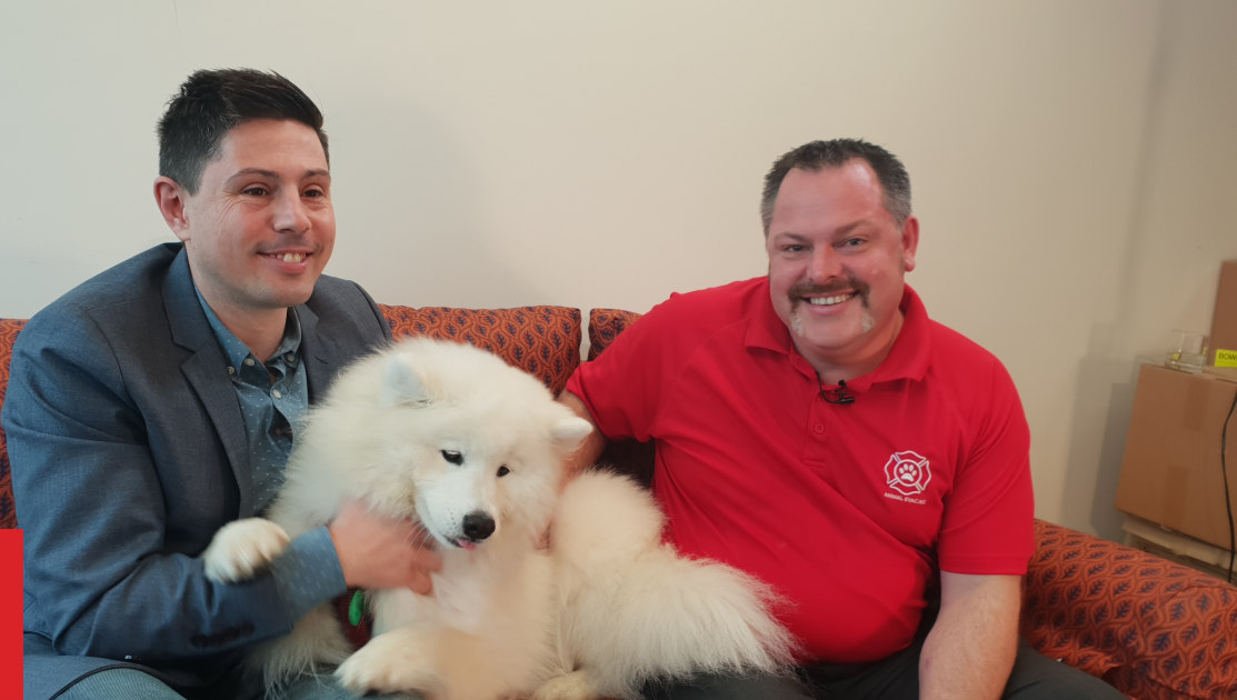 Animal evacuation volunteers secure access to better training | RNZ News