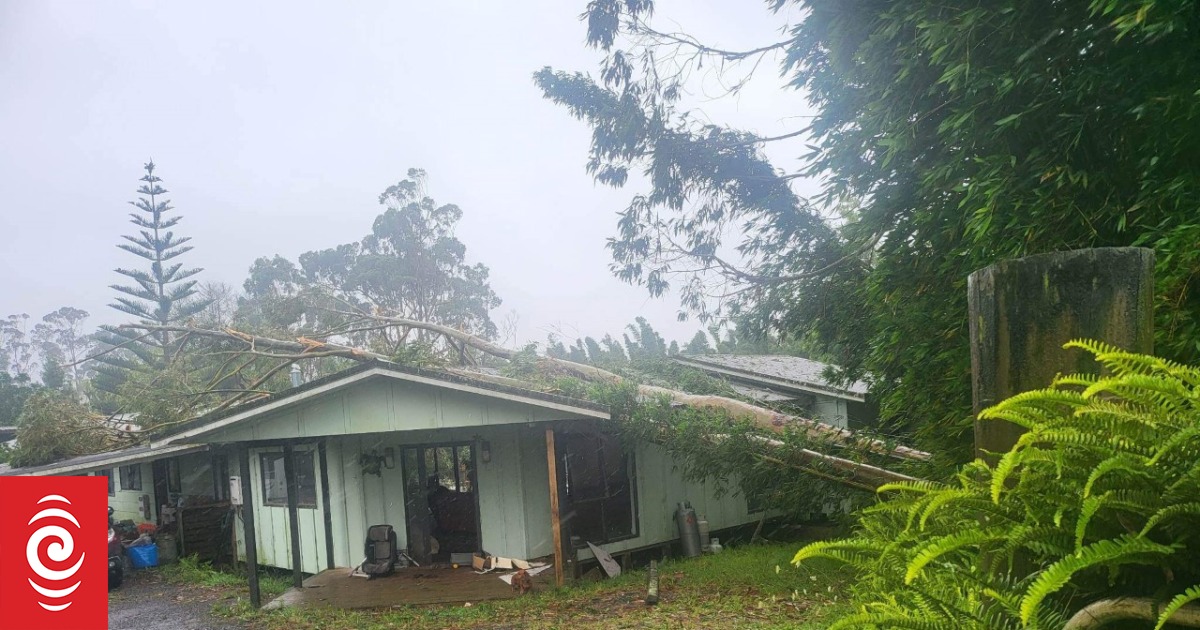 Cyclone Gabrielle: Who to call, what to do if the roof comes off or ...