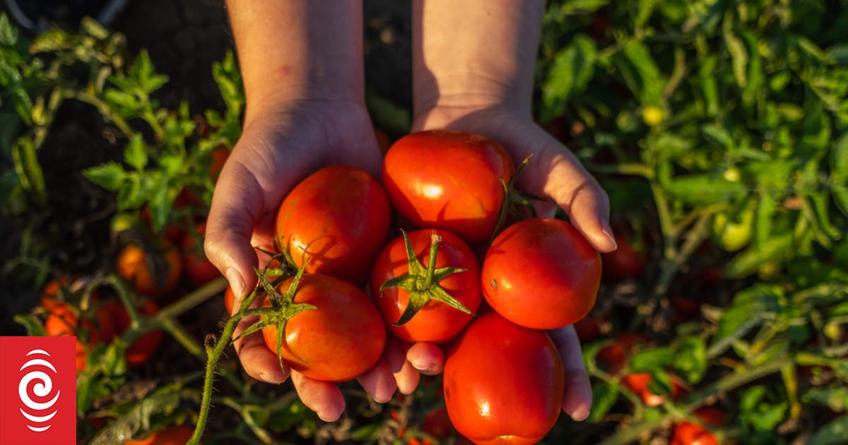 Fruit and Vege Report with Glenn Forsyth | RNZ