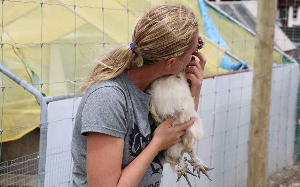 Chook rescuers seek happy homes for hens | RNZ