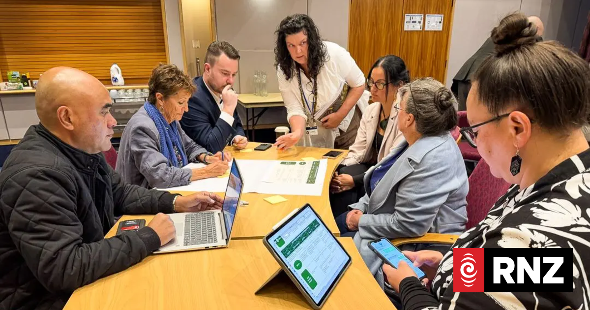 New Plymouth Distrcit Council steps up Waitangi Treaty duties despite ...