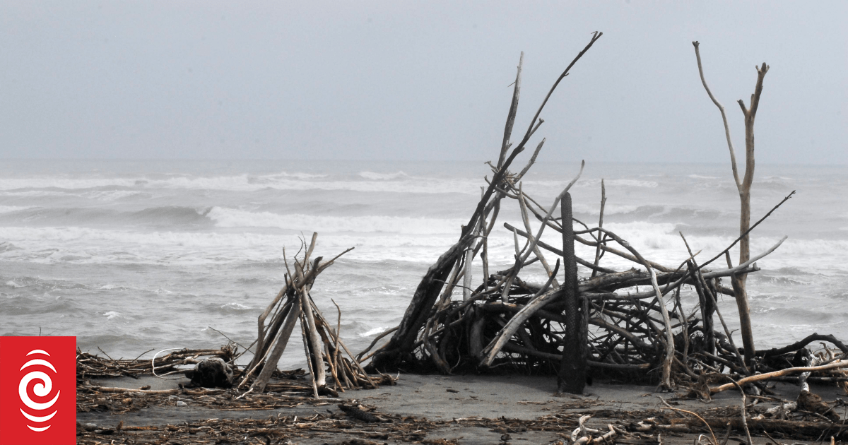 Changes to customary marine title 'deeply reckless' - law expert | RNZ News