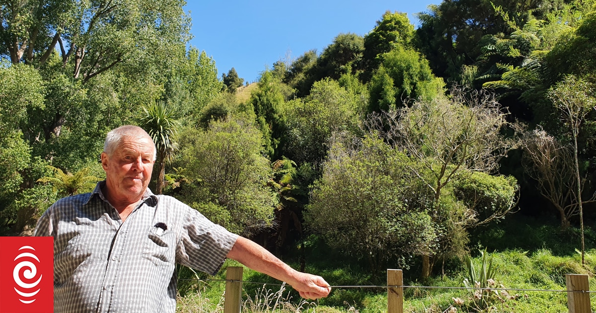 From pasture to biodiversity on a Whanganui farm | RNZ