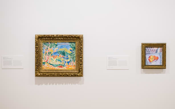 Picasso, Dali and Matisse paintings on display in Auckland thanks to ...