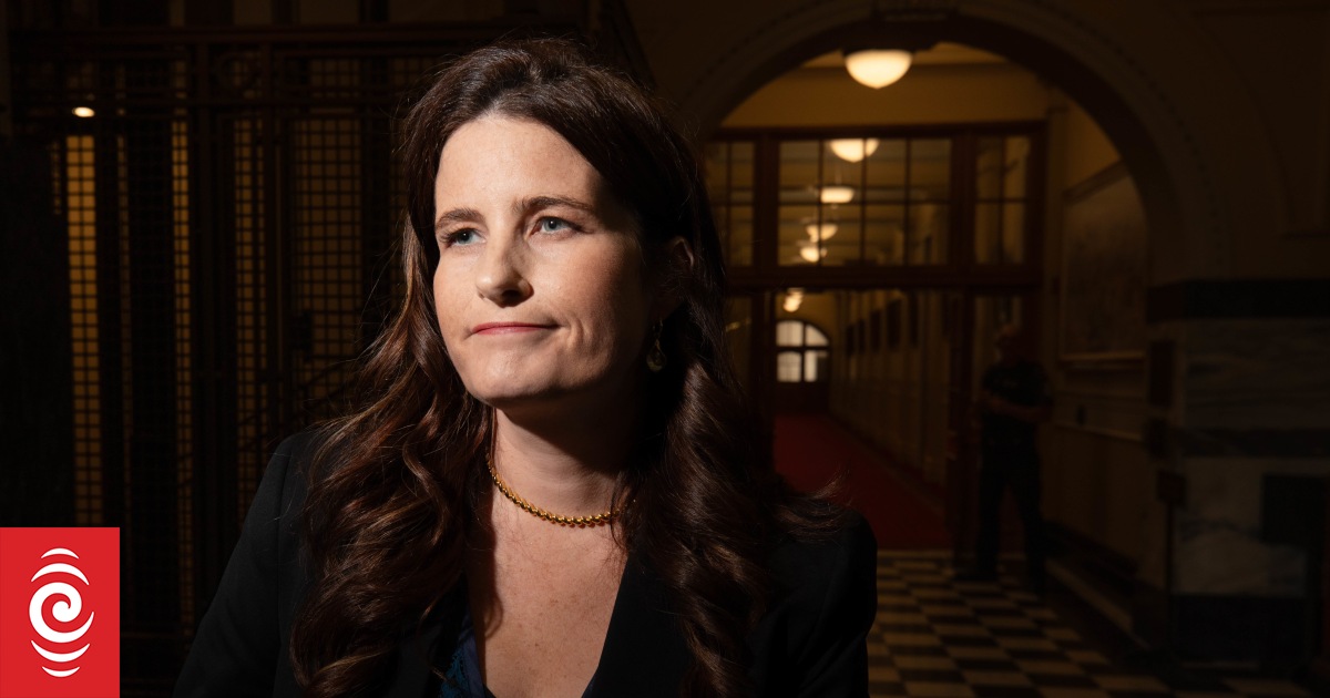 Political commentators Neale Jones and Tim Hurdle | RNZ