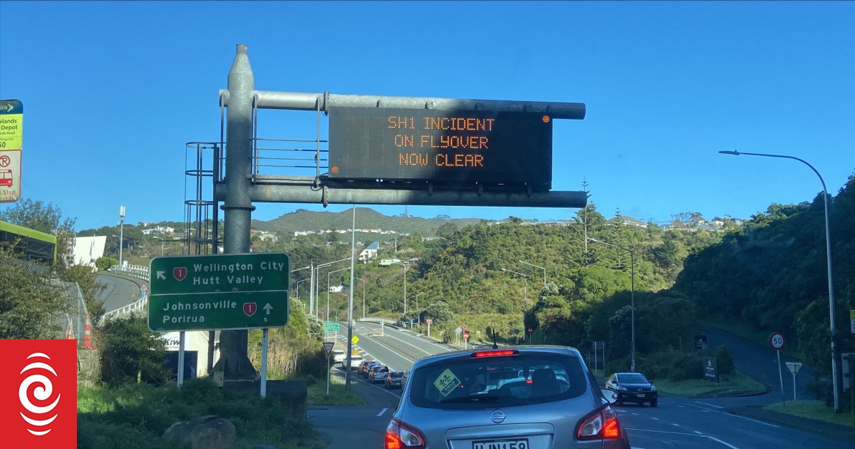 Protesters cause traffic chaos in Wellington, block lanes on Ngauranga ...