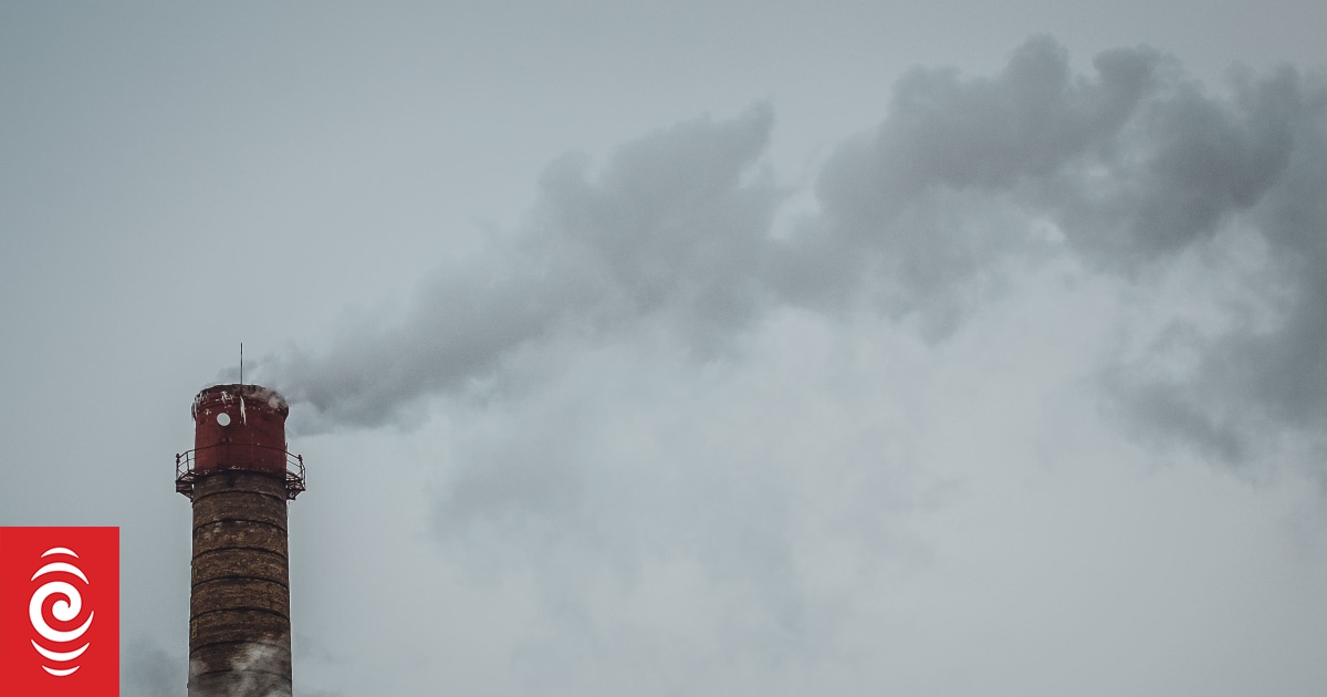 Business commentator Pattrick Smellie | RNZ