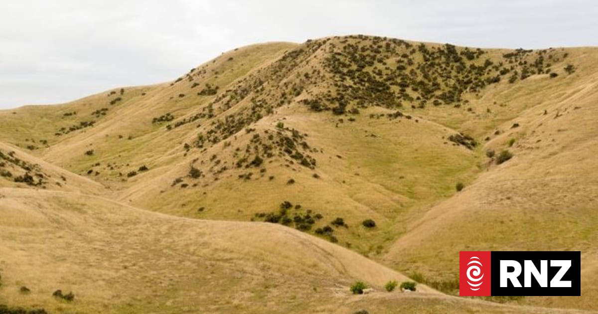 Lifestyle blocks 'a fire hazard' | RNZ