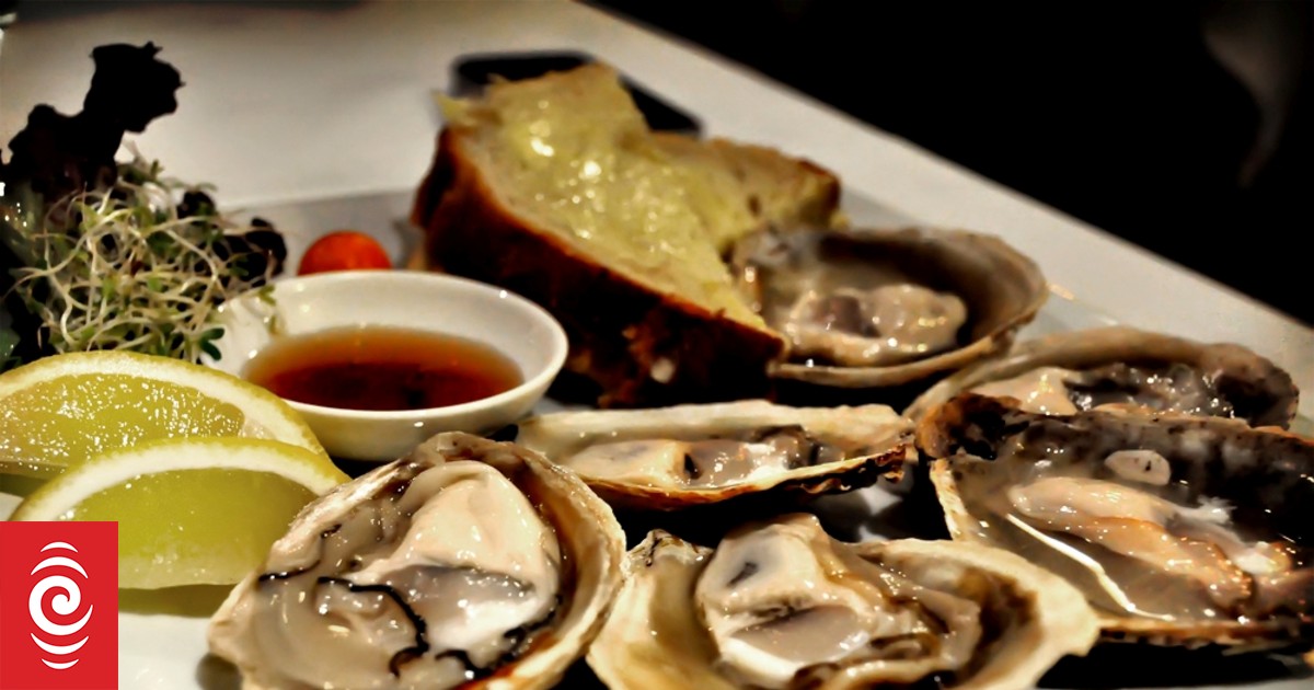 Plea to sacrifice farmed oysters to save Bluff's iconic shellfish | RNZ ...