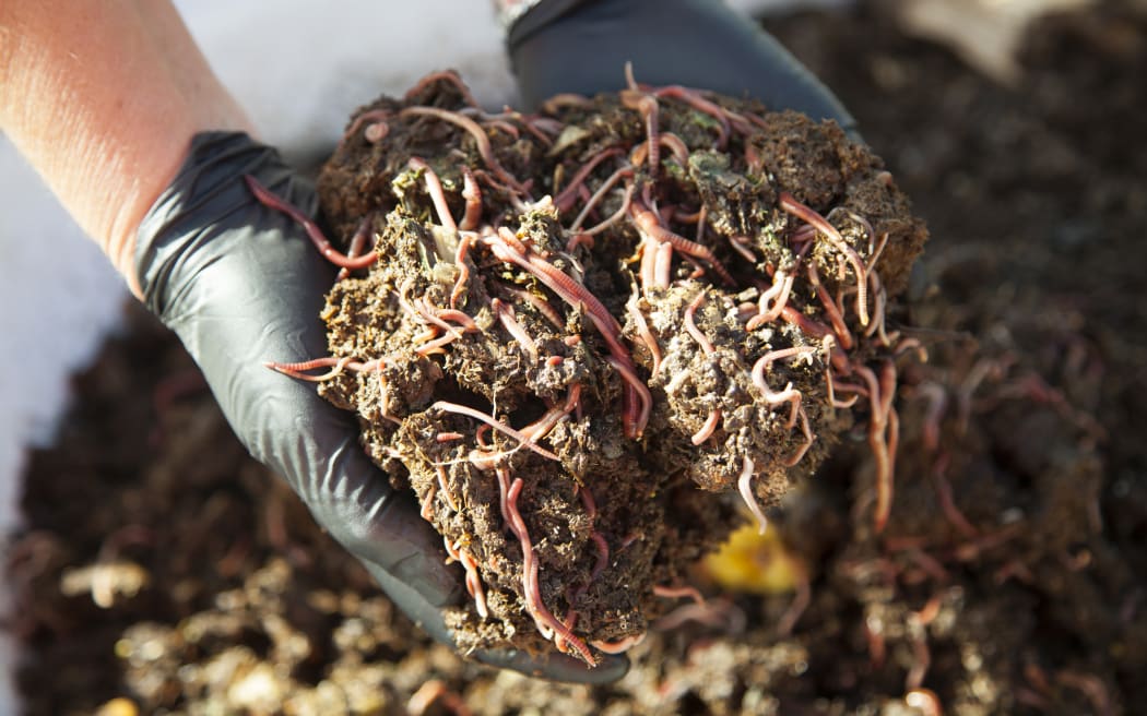 Kicking up a stink - Christchurch battles over smelly compost plant's ...