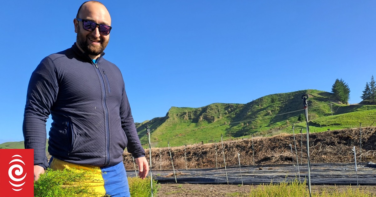 Restore Native | RNZ News