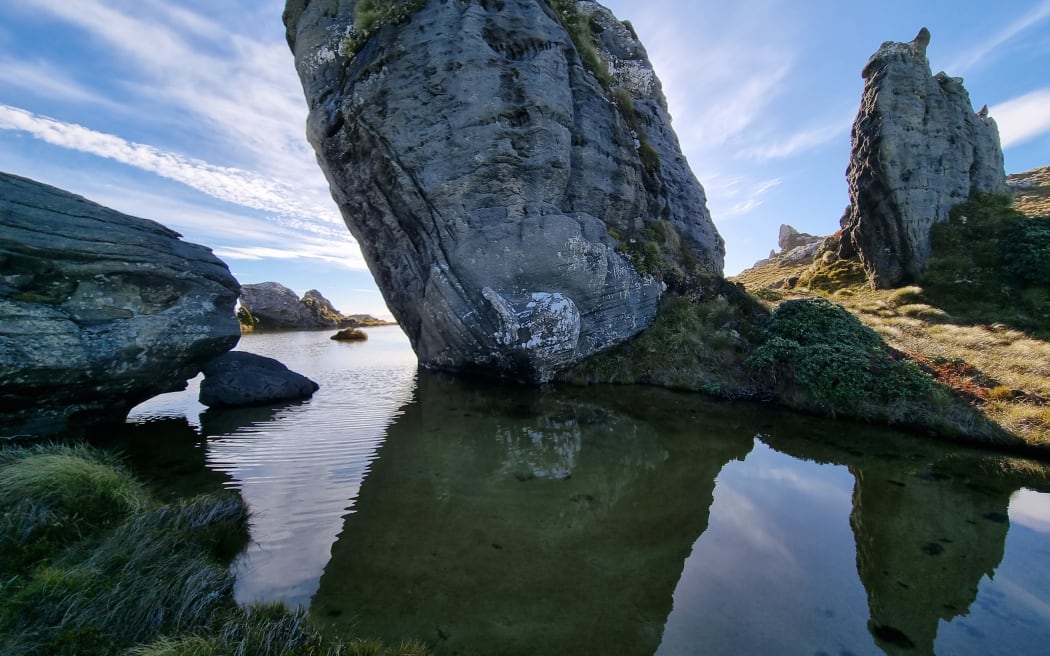 Great Walks: Hump Ridge Track upgrade delayed to next year | RNZ News
