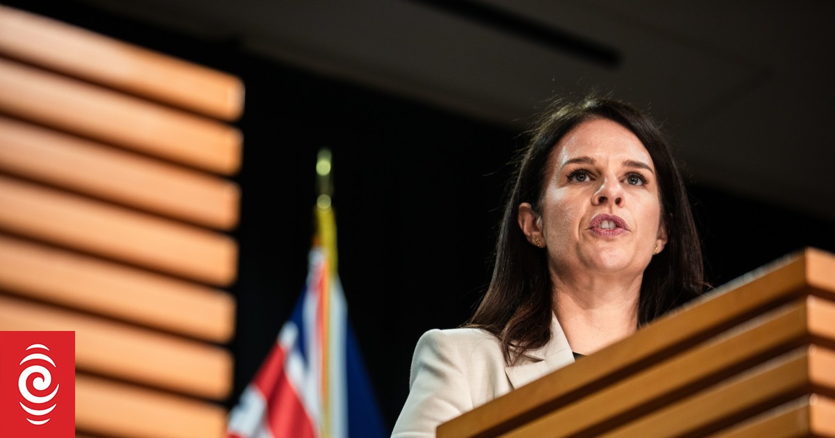 Govt announces $2m funding for trial of catch-up maths lessons | RNZ News