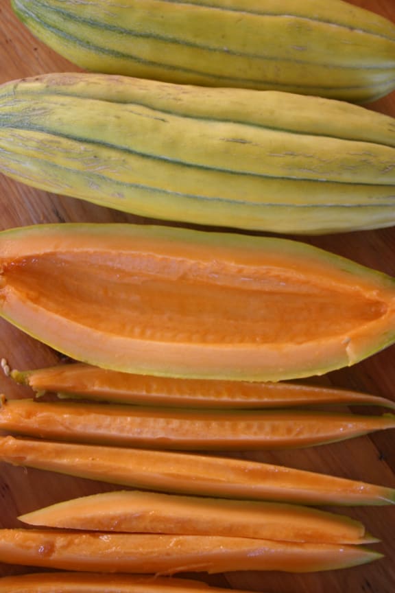 Sowing seeds of hope: Kay Baxter, Koanga Institute | RNZ