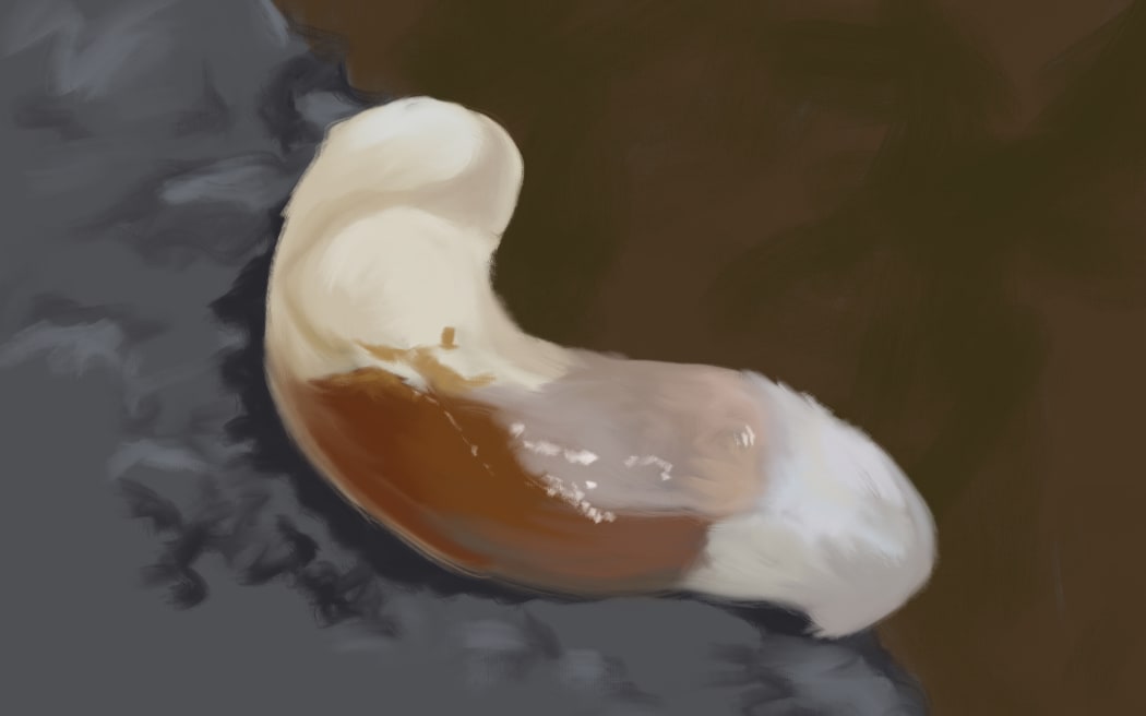 Summer Weekends for Sunday 19 January 2025 Summer Weekends | RNZ