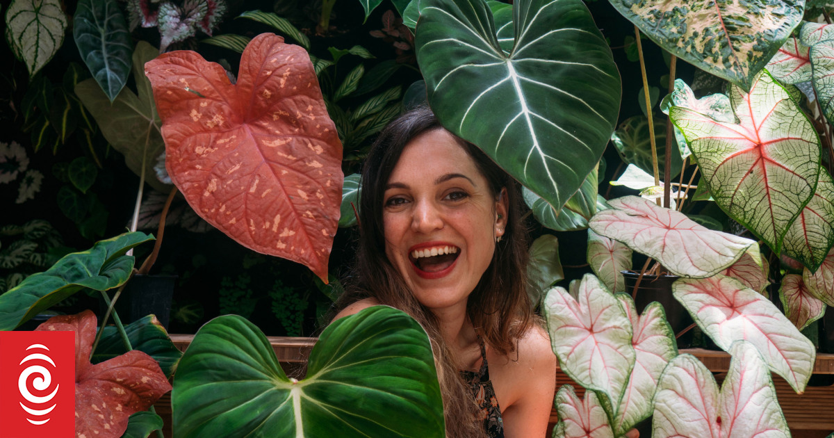 Moira West: House plants for free | RNZ