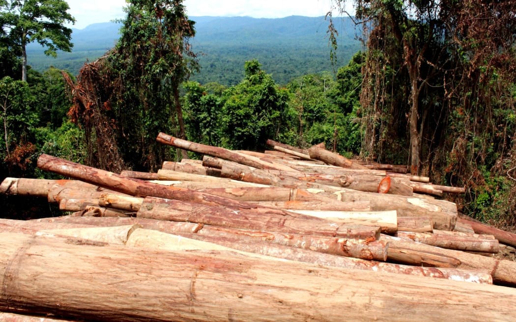 Hopes logging giant will finally be held accountable in Papua New ...