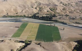 Scrapped Hawke's Bay dam project may be revived under fast-track bill ...