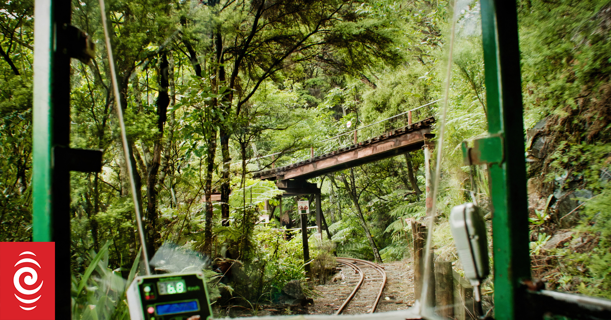 Around the Motu: John Freer covering the Coromandel Peninsula | RNZ