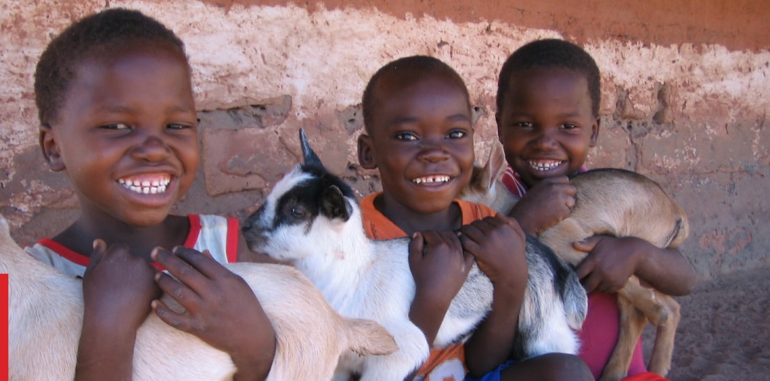 Goats give hope | RNZ News