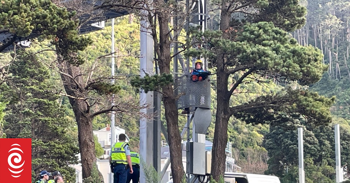 The Panel with Mary-Margaret Slack and Scott Campbell (Part 2) | RNZ