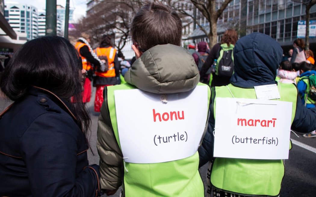 Digital platform to ease access of te reo Māori for 21st century ...