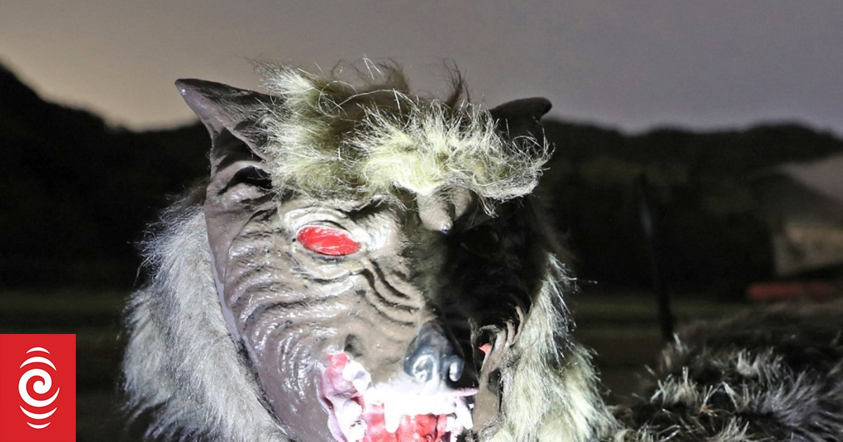 It's bears versus robot wolves in ageing Japan | RNZ News