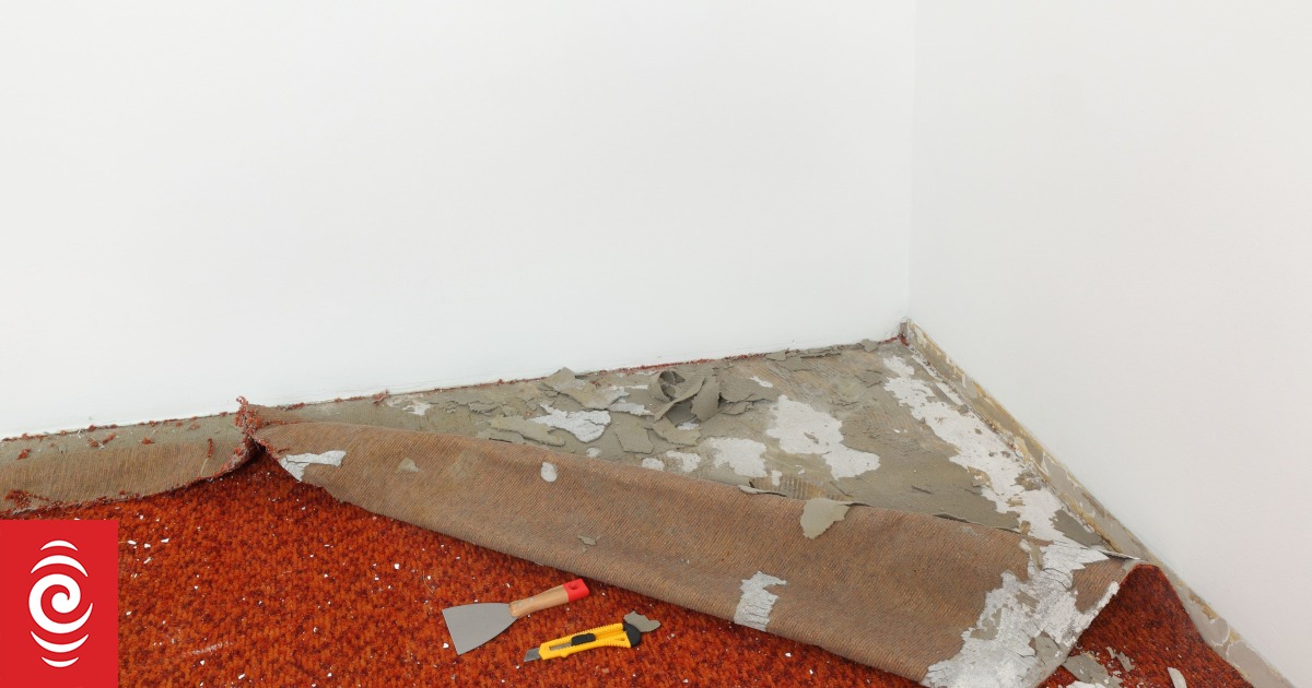 Ex-Housing NZ tenant ordered to pay thousands after ripping up carpet ...