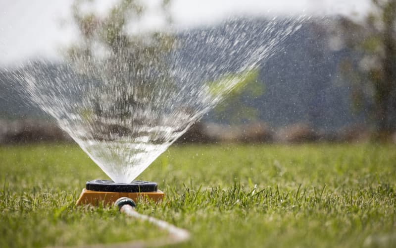 Water warnings in Central Otago, Tauranga | RNZ