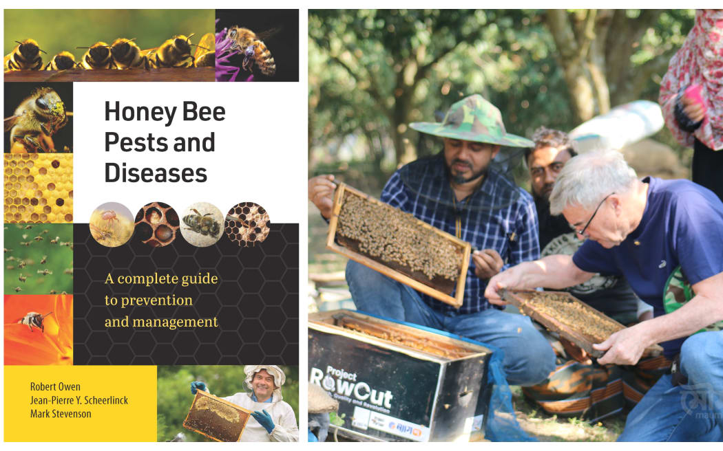 Beekeeping: how to handle honey bee pests and diseases | RNZ
