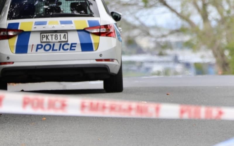 Driver in custody after alleged near misses on Auckland's southern ...