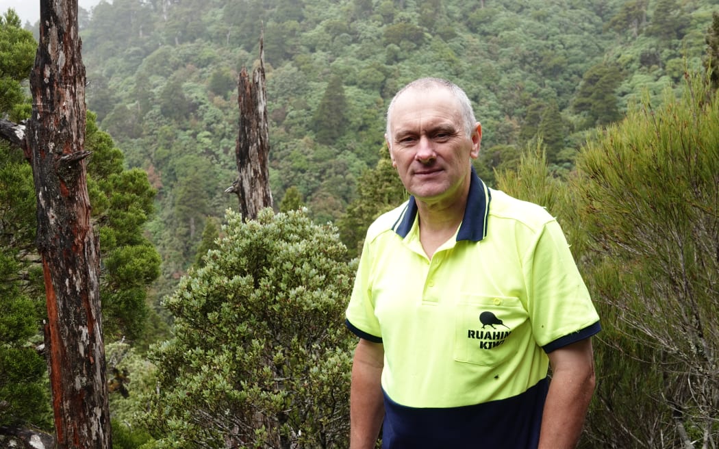 Kiwi restoration project's uncertain future: 'It's all about breeding ...