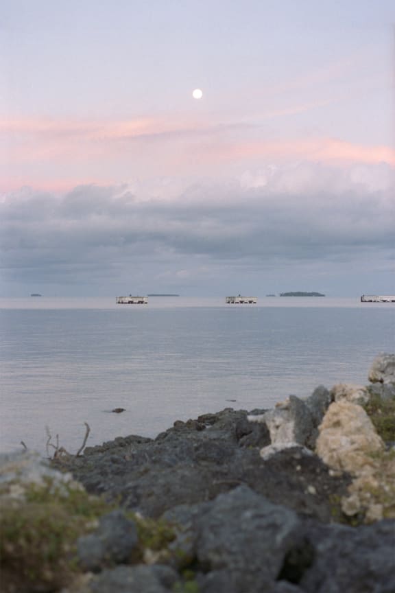 Artist Emily Parr is inspired by the sea | RNZ