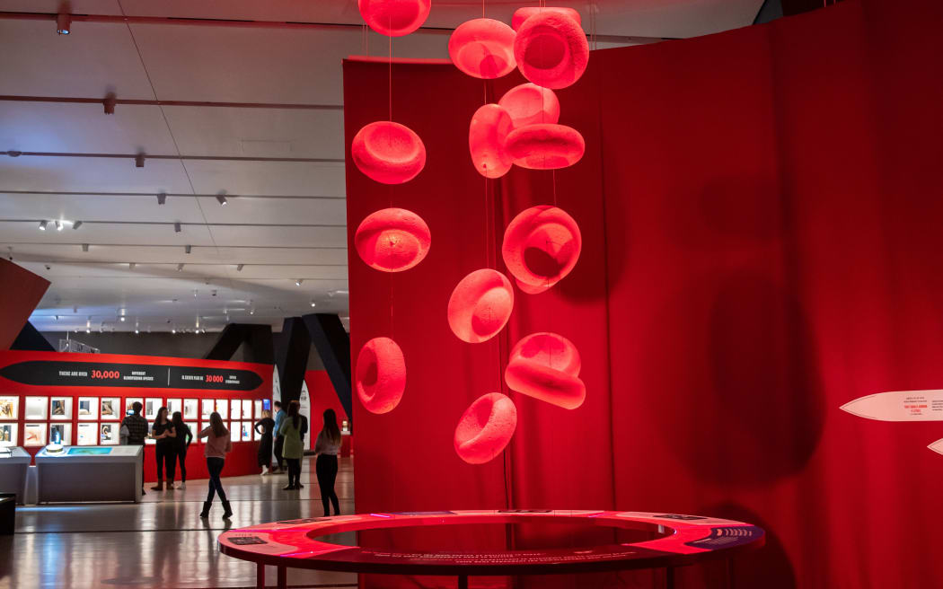 Saturday Morning for Saturday 7 December 2024 Saturday Morning | RNZ