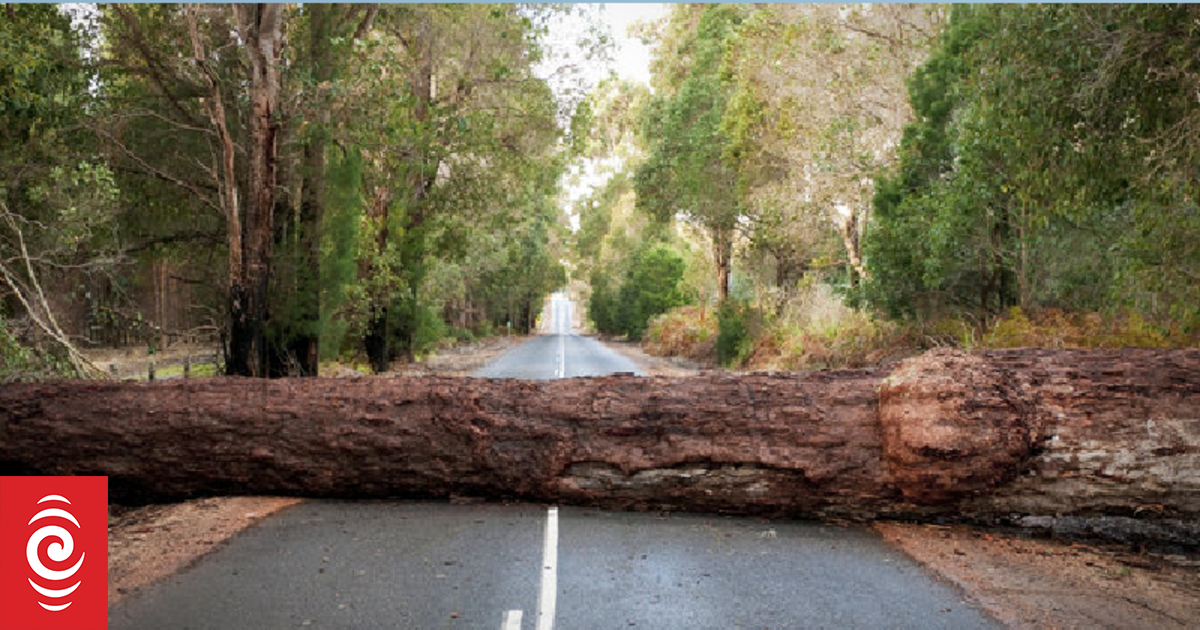 Setbacks - 14 July | RNZ