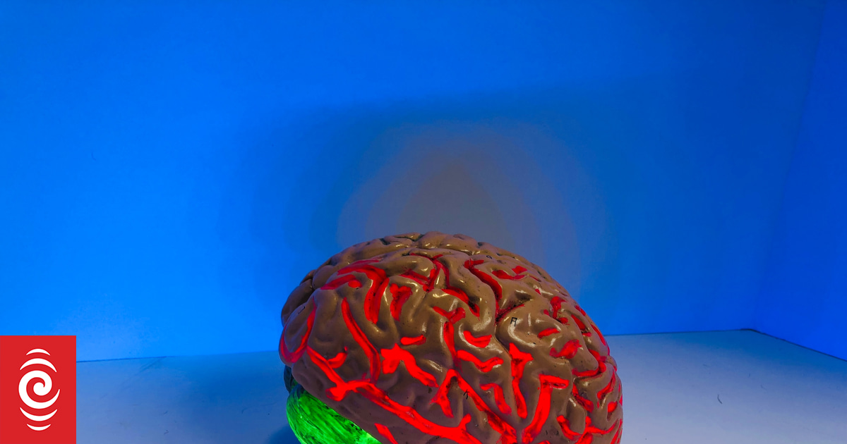 Mind the app: why brain train games miss the mark | RNZ