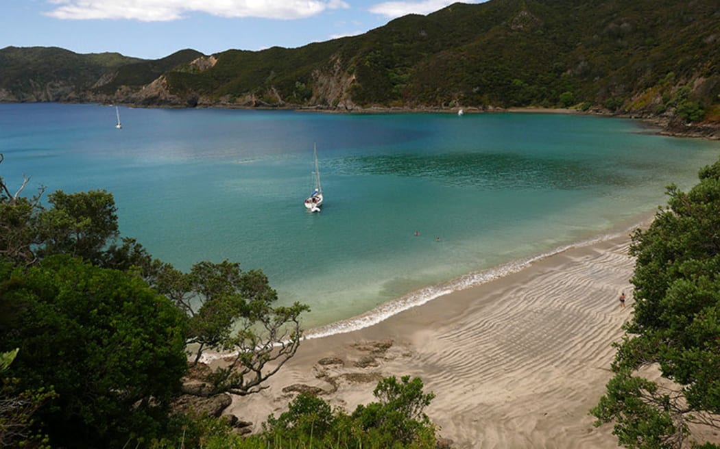 New fishing rules for Northland to have 'significant implications ...