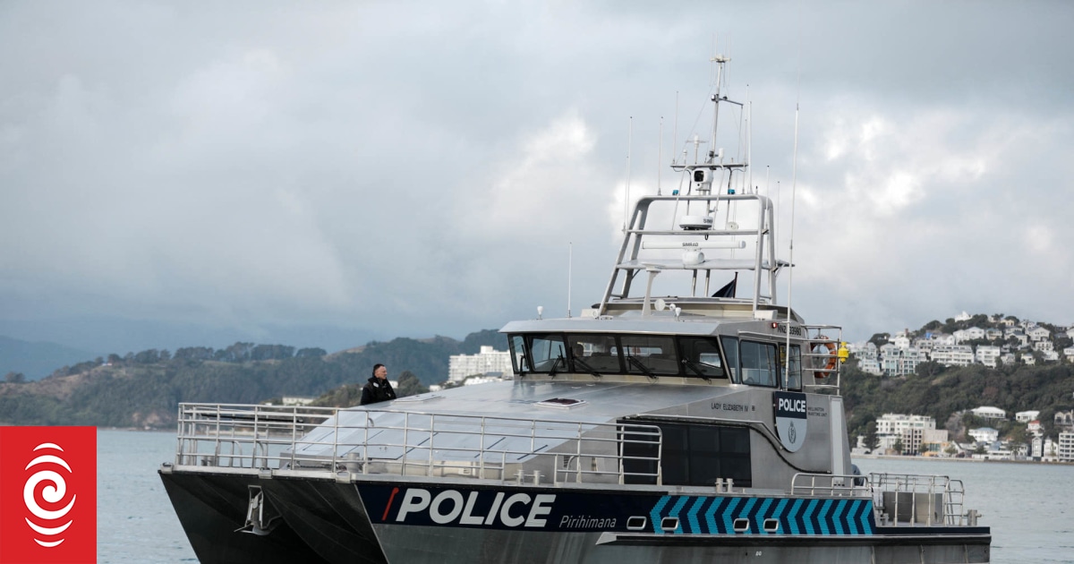 A 60 percent cut to the Wellington maritime police means they will no ...