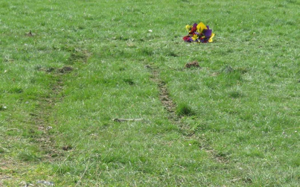 Anatomy of a crash: deaths, signs and overgrown foliage | RNZ News