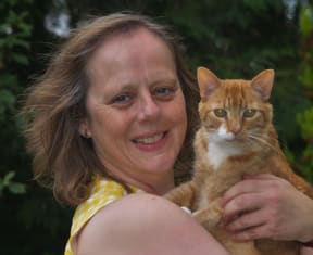 How pain affects our pets' behaviour | RNZ