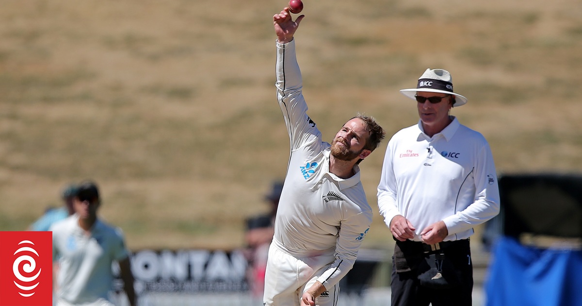 Sports commentator Brendan Telfer - cricket & rugby | RNZ