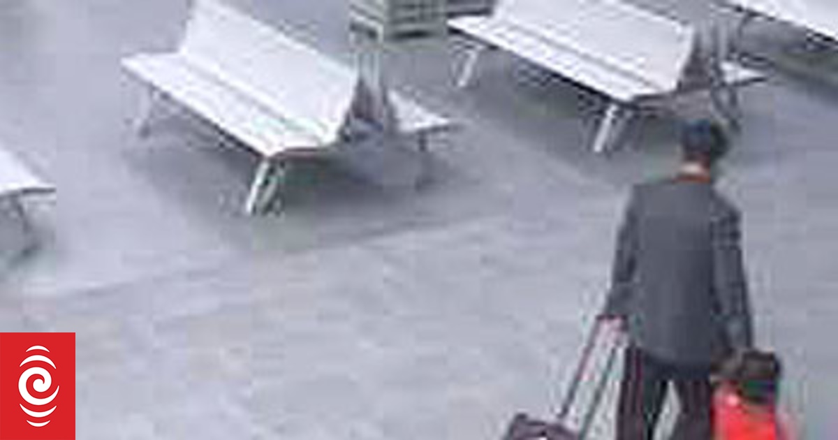 Case #048 - The Abandonment of Pumpkin | RNZ